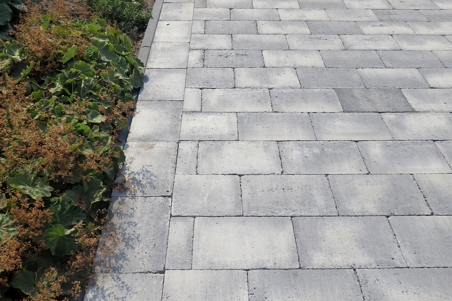 Klinkers Scheys Beton